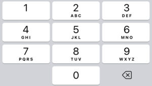 input要素のソフトウェアキーボードを非表示にするにはどうすればよいのか？目的に応じた適切なinputmode属性についても解説 | Promapedia（プロマペディア）